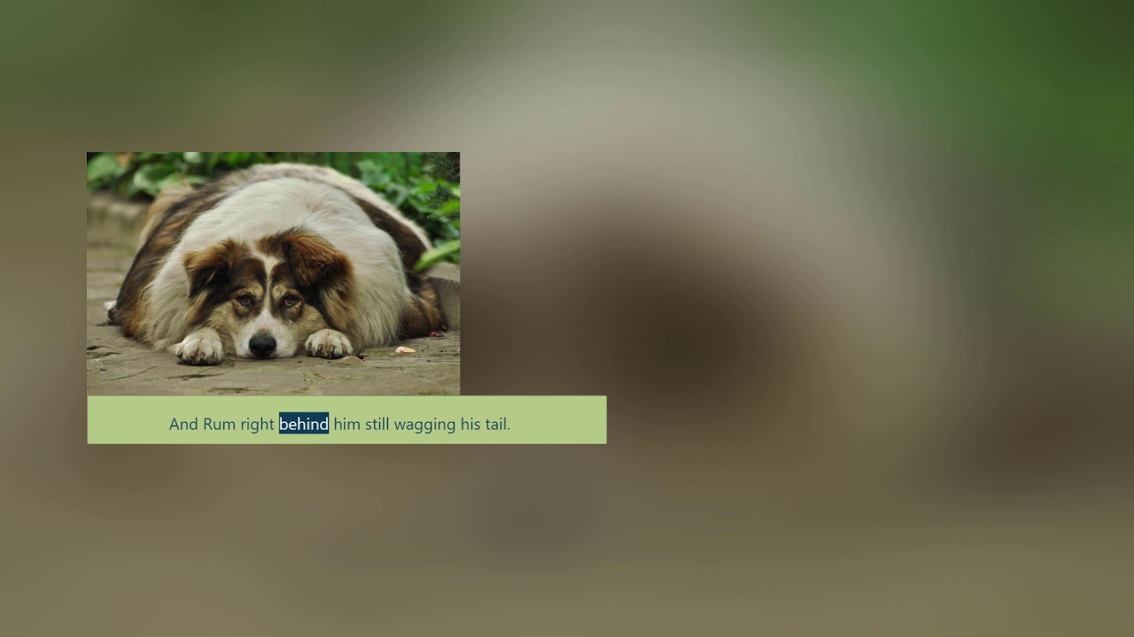 The Ballad Of Rum - YouTube