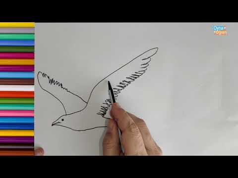 Çiz Boya | Harfleri Öğren | Çocuklar İçin Eğitici Video | Harf Boyama | M Harfi | Martı Çizimi