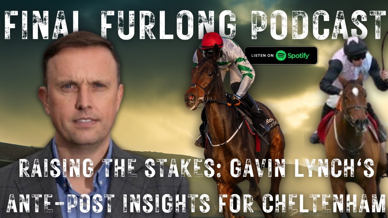 King George VI & Gold Cup Chat with Professional Bettor Gavin Lynch ...