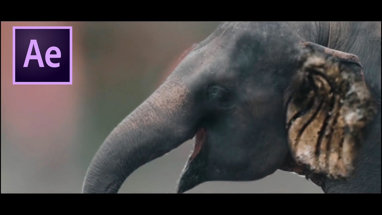 Chuyển Cảnh Biến Dạng BenTk | Plug-ins RE: Flex Morph - YouTube