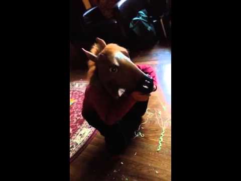 Vomiting Horse - YouTube