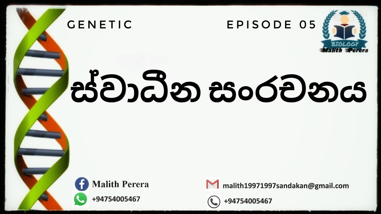 #Genetics Episode 05:- Mendel’s second law of inheritance (The law of ...