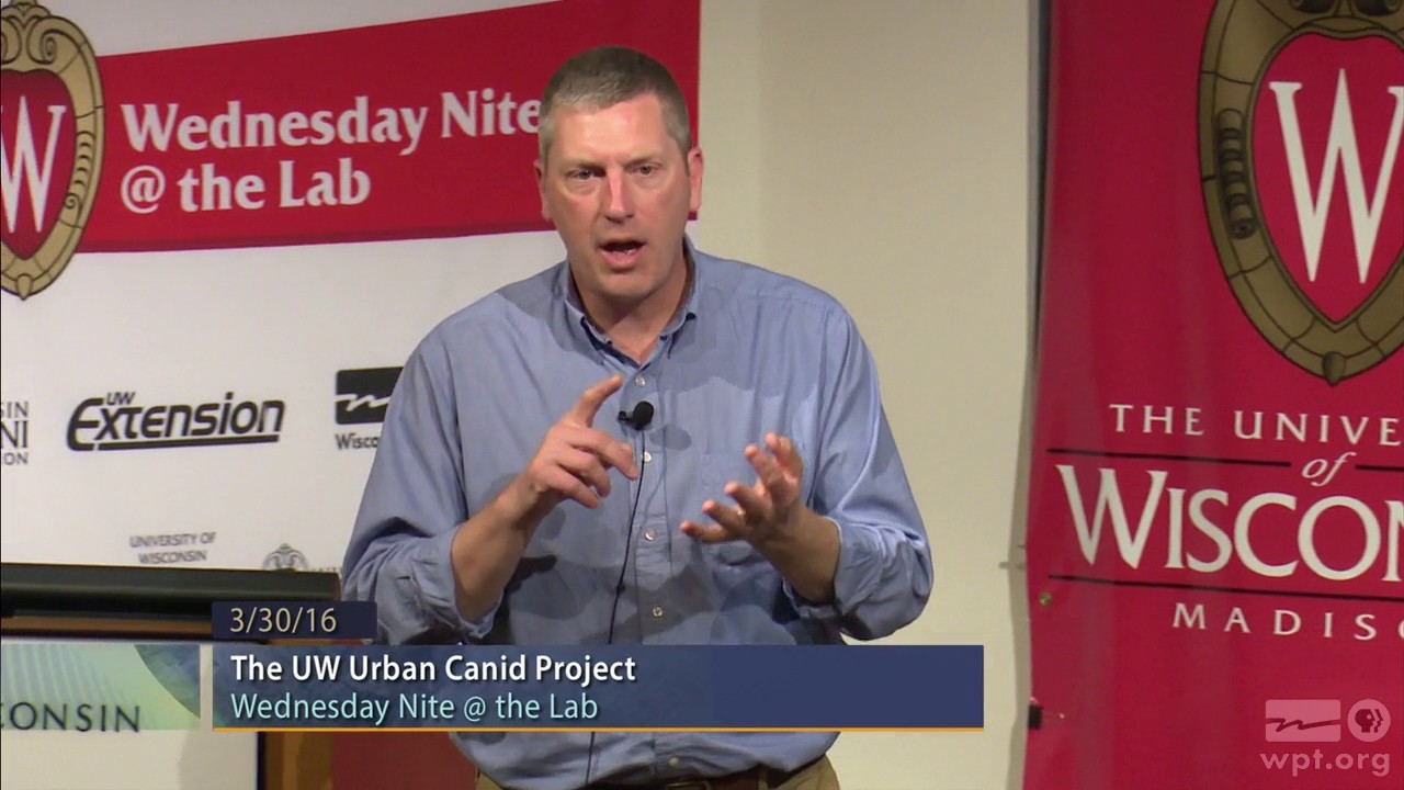 WPT University Place: The UW Urban Canid Project - YouTube