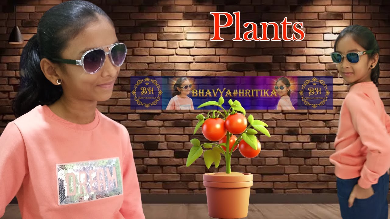 HOME PLANTS//BHAVYA#HRITIKA//HOME MADE PLANTS//BH - YouTube