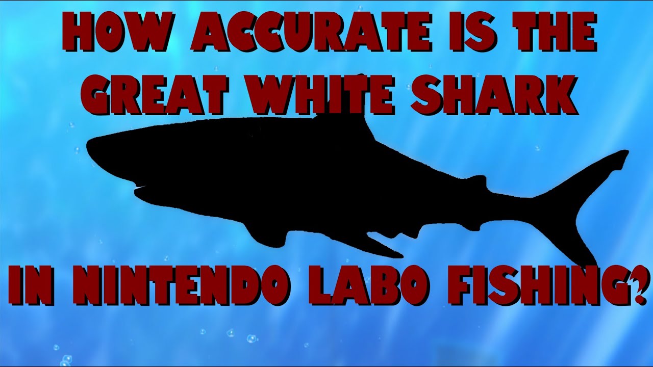 How accurate is the Great White Shark in Nintendo Labo Fishing? | White ...