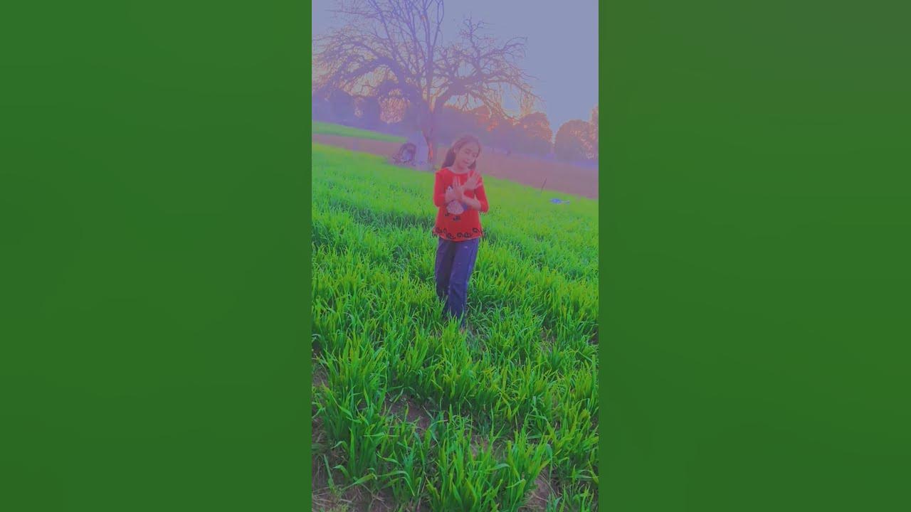 29 जनवरी 2025 - YouTube