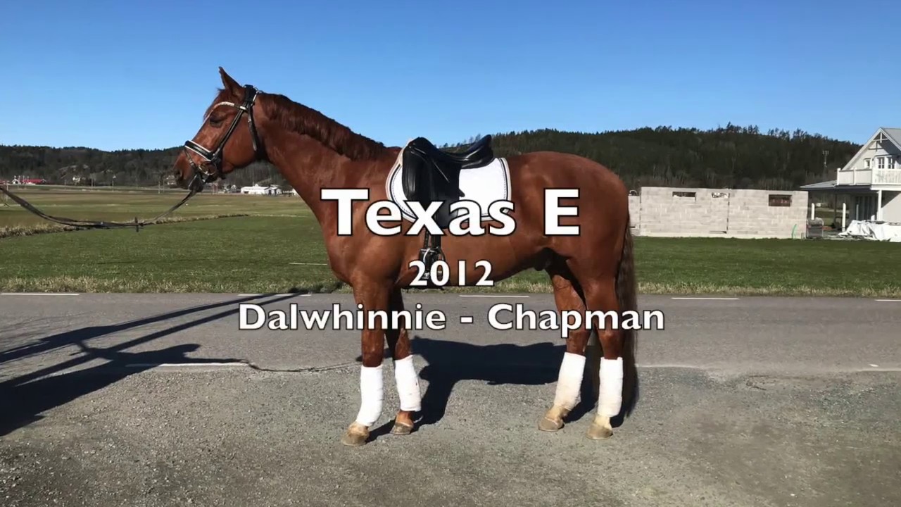 Texas E 2019 - YouTube