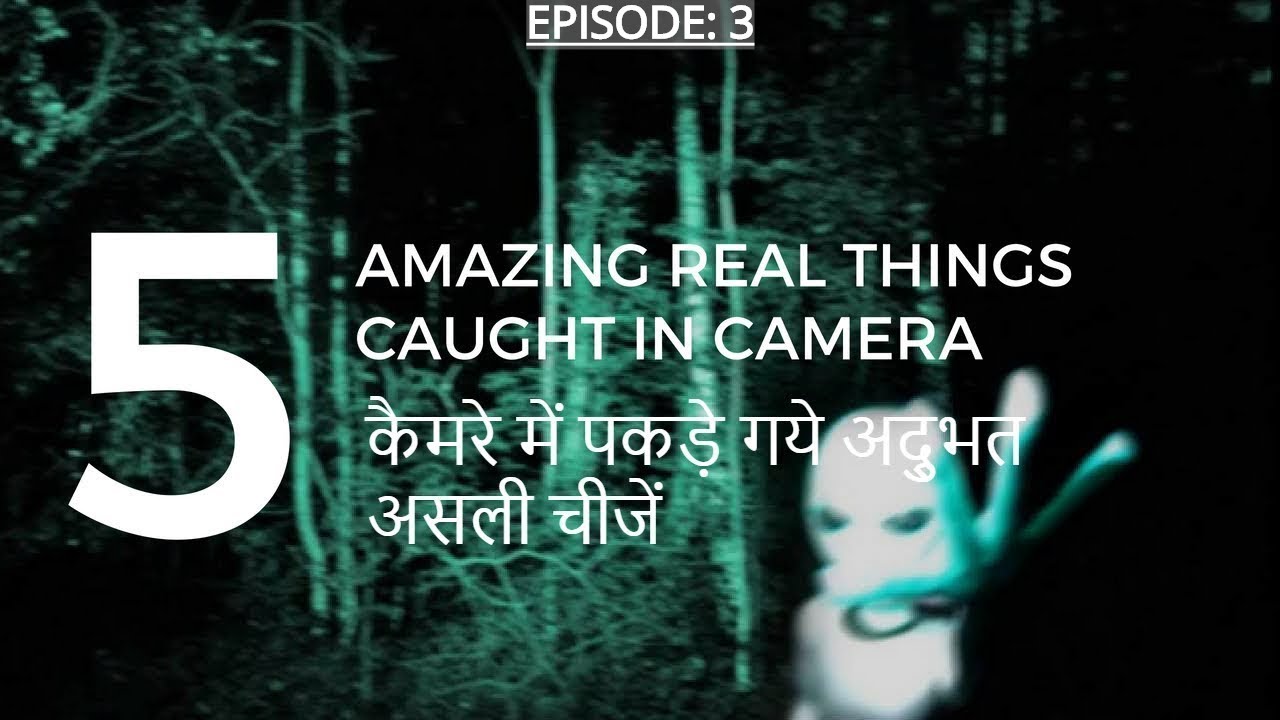 5 Amazing Real clips caught on Camera - YouTube