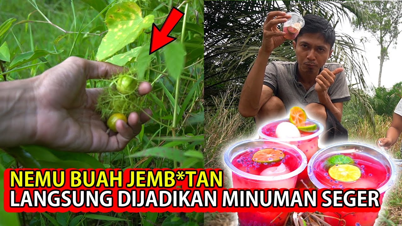 MENEMUKAN BUAH NOSTALGIA LANGSUNG DIBUAT (ES RAMBUTAN IN RED WATER WITH ...