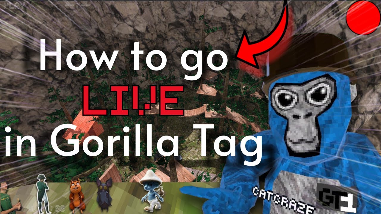 How To Go 🔴LIVE🔴 in Gorilla Tag (Tutorial for Quest and Steam) - YouTube