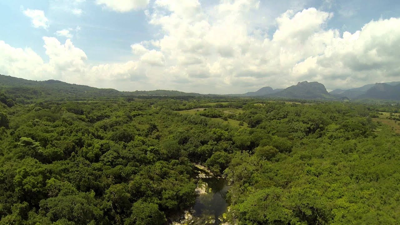 #TANCOCO 2014-2017 - YouTube