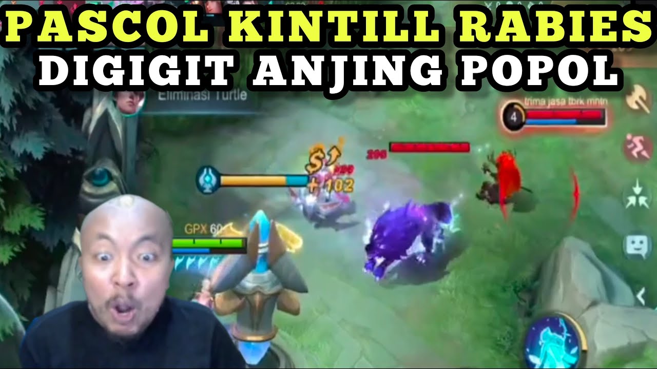 Kocak‼️ Pascol Kintill Kena Mental Lawan Popol & Kupa Di Gigit Sampe ...