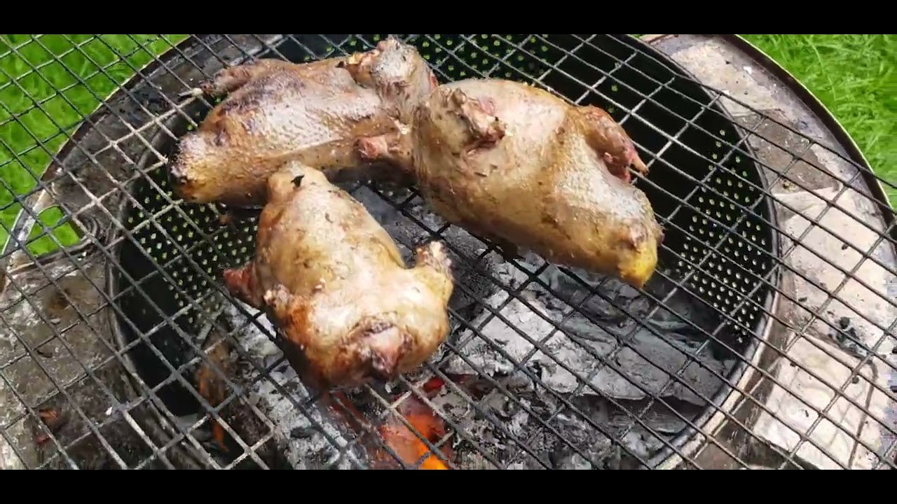 Cooking pigeon on a washing machine BBQ - YouTube