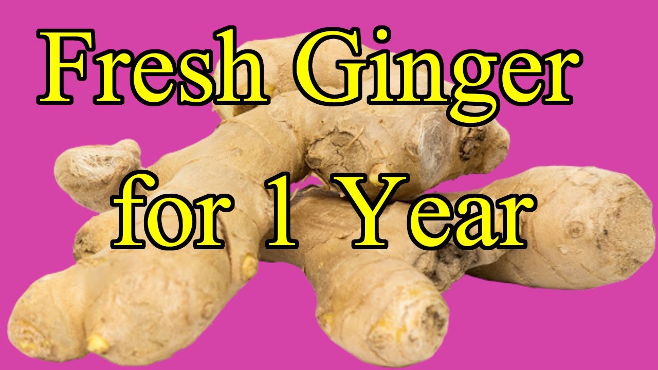 Ginger that will last fresh for 12 months and more ! Ingwer für lange ...