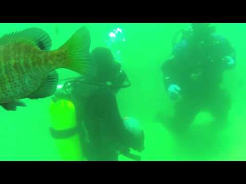 Underwater Bowling, Midwest Scuba Diving - YouTube