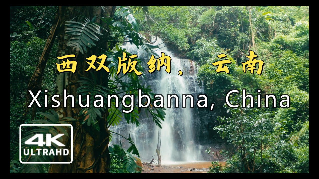 4K, Exploring the Enchanted Wonderland of the Tropical Jungle in China ...