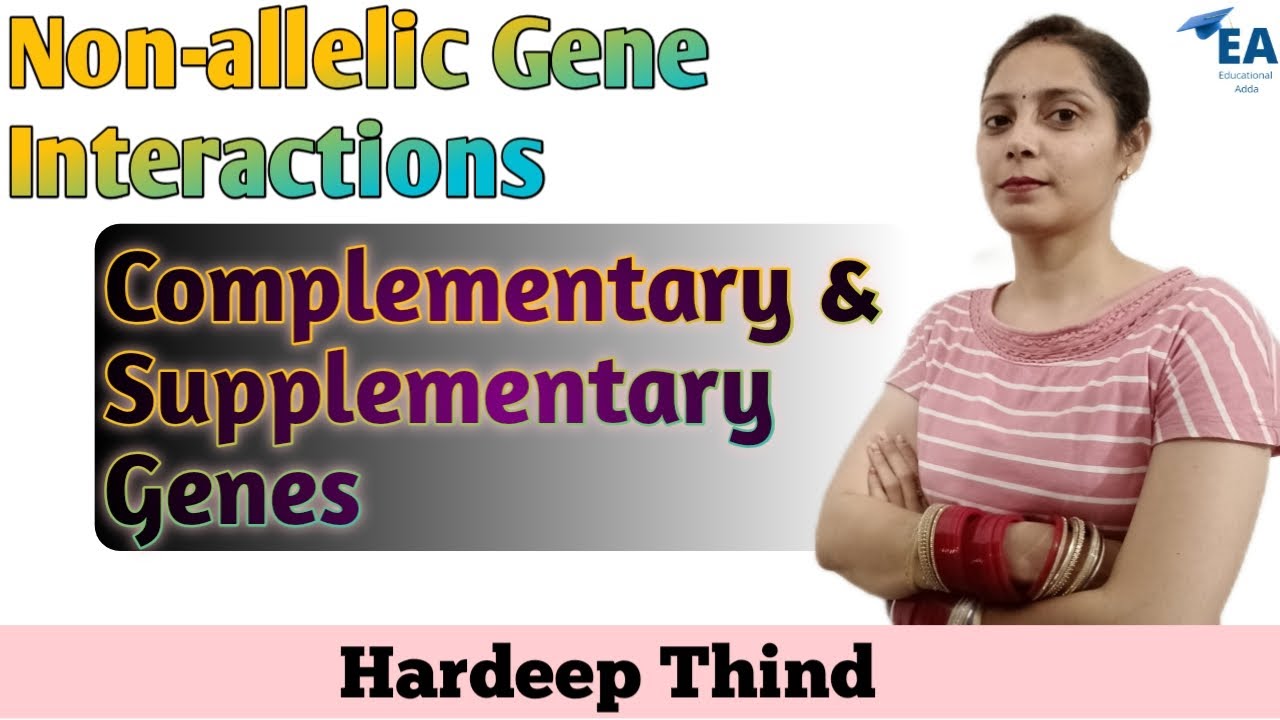 Complementary & Supplementary Genes | Non - allelic Gene Interactions ...