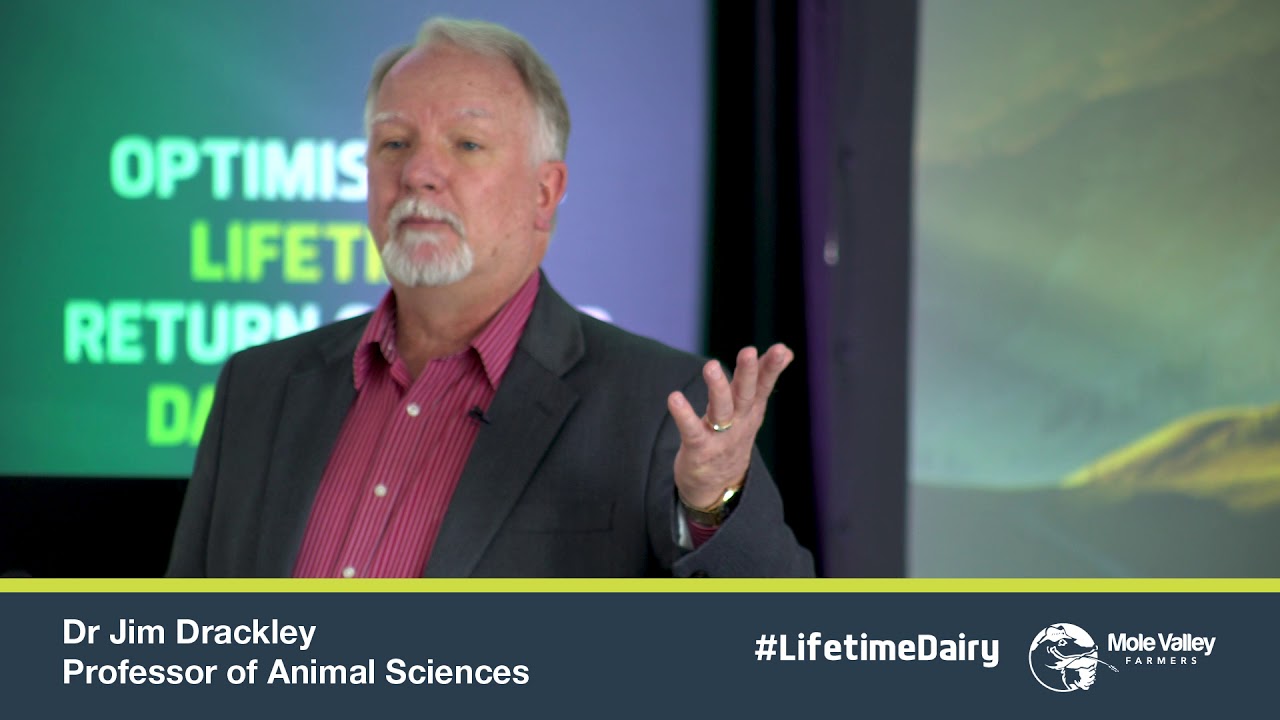 MVF Lifetime Dr Jim Drackley - Heifers - Weaning to First Calving - YouTube