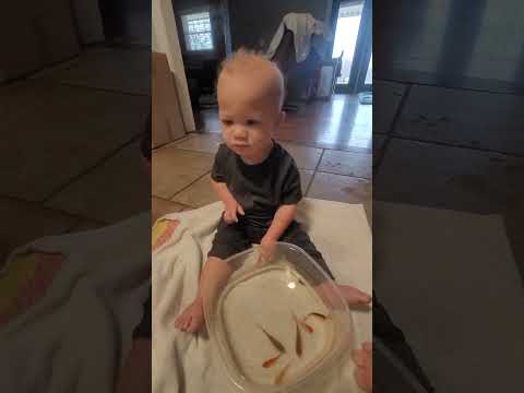 Baby Jaxson - YouTube