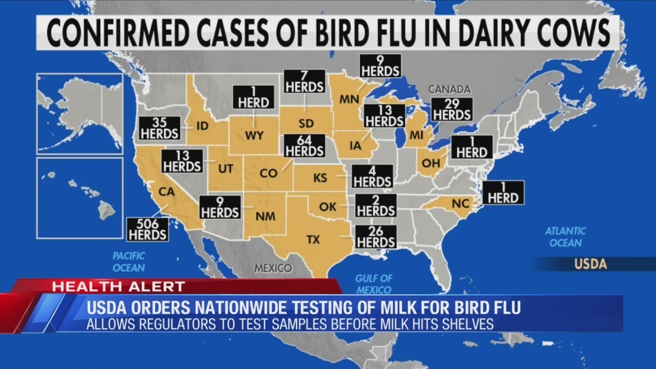 USDA orders nationwide testing of milk for Bird Flu - YouTube