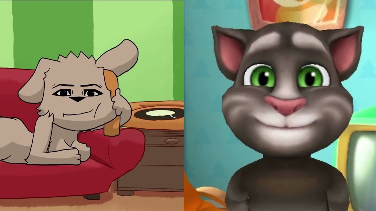 Talking Bella chooses to different cats - YouTube
