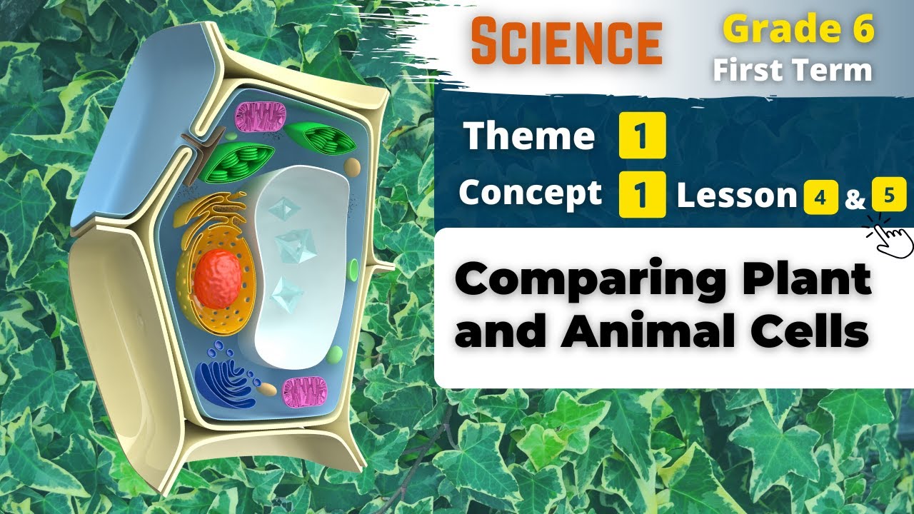 Grade 6 | Comparing Plant and Animal Cells | Theme 1 - Concept 1 ...