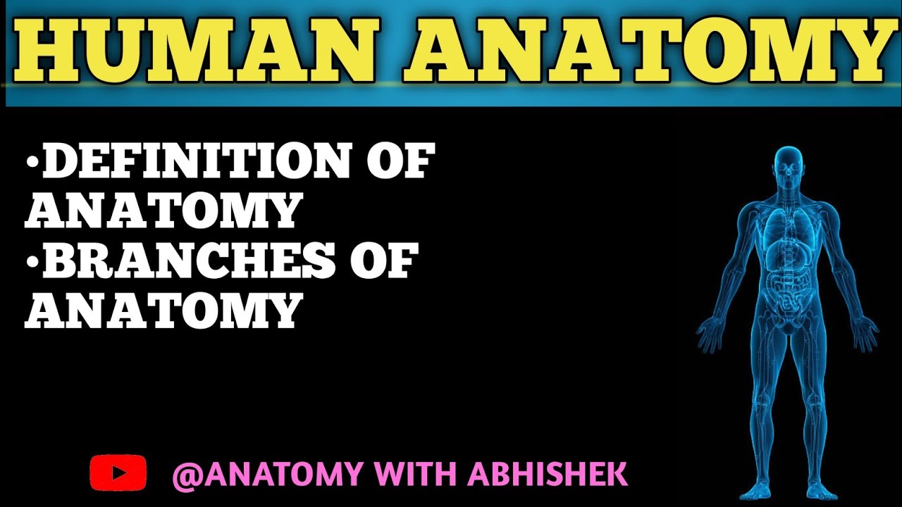 | Introduction of anatomy | |Definition of anatomy | Branches of ...