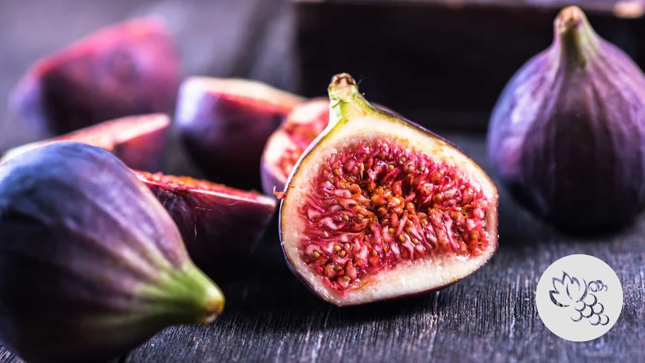 A pasta de figo / Pr Marcio Alves / Videira Flórida - YouTube