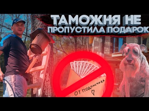 Подарок конфисковали таможенники . Индюшата и Дик целый день гуляют ...