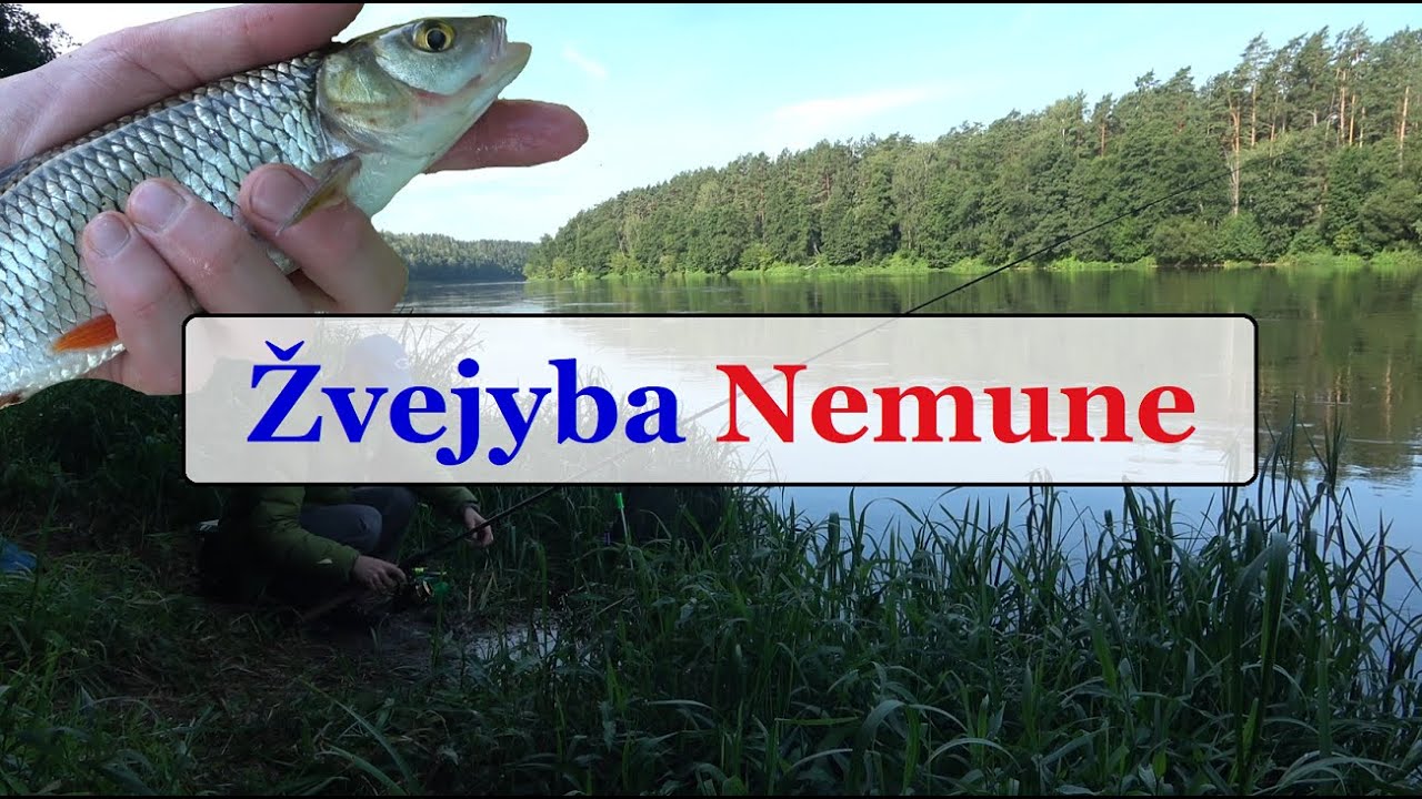 Žvejyba Nemune - Gabrielius Ser - YouTube