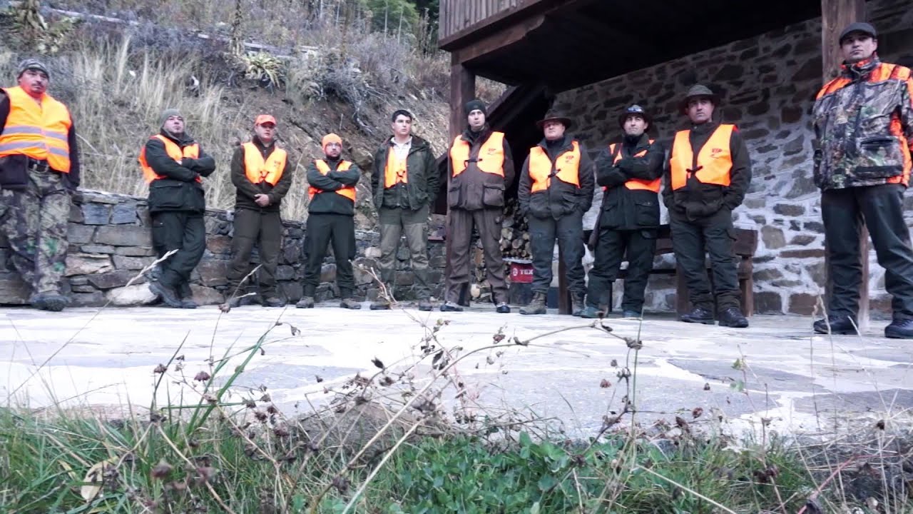 Wild Boar Driven Hunting in Bulgaria - YouTube
