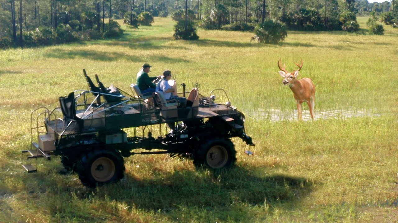 AIRGUN DEER HUNTING from a SWAMP BUGGY - YouTube