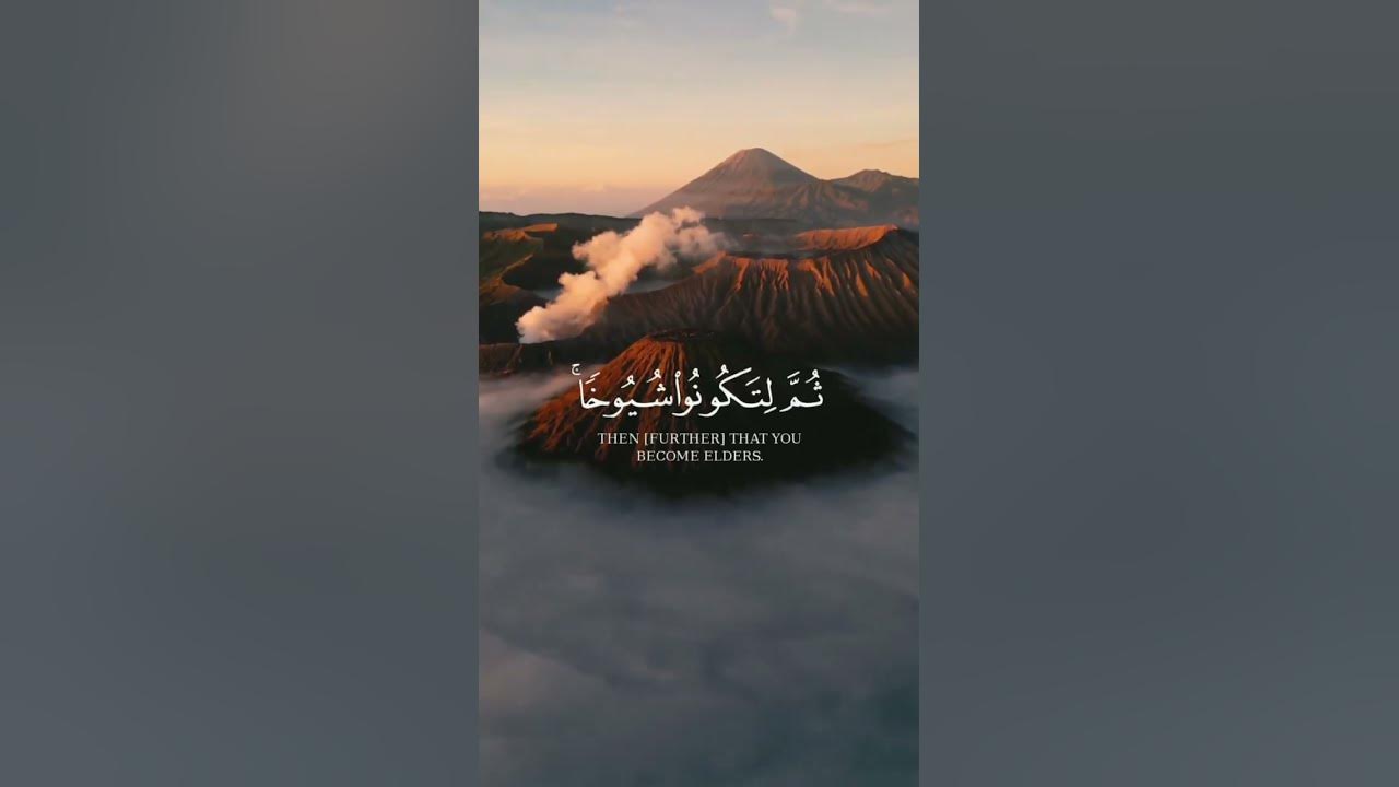 هُوَ ٱلَّذِى خَلَقَكُم مِّن تُرَابٍۢ ثُمَّ مِن نُّطْفَةٍۢ Allah Quran