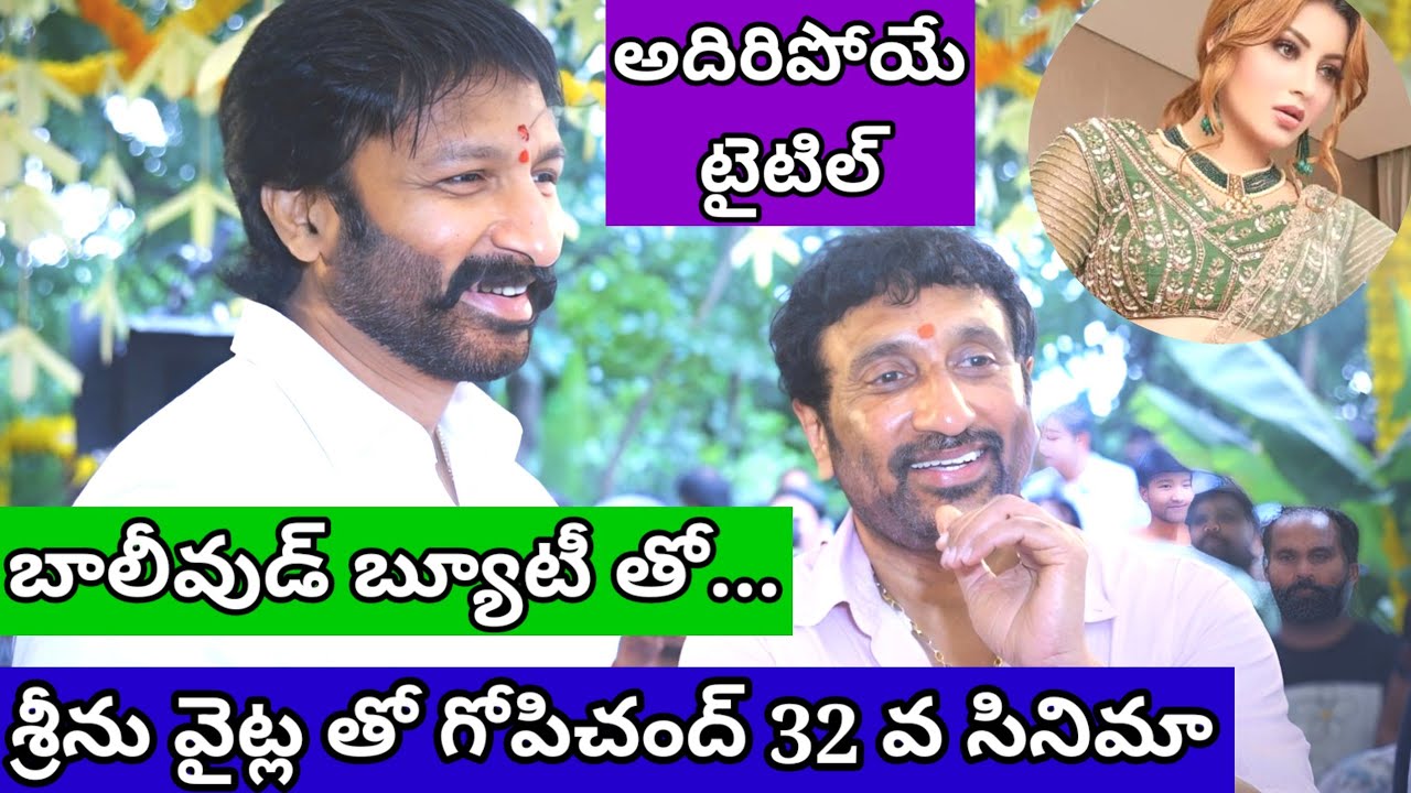 Sreenuvaitla comeback movie | Gopichand with sreenu vaitla | Gopichand ...