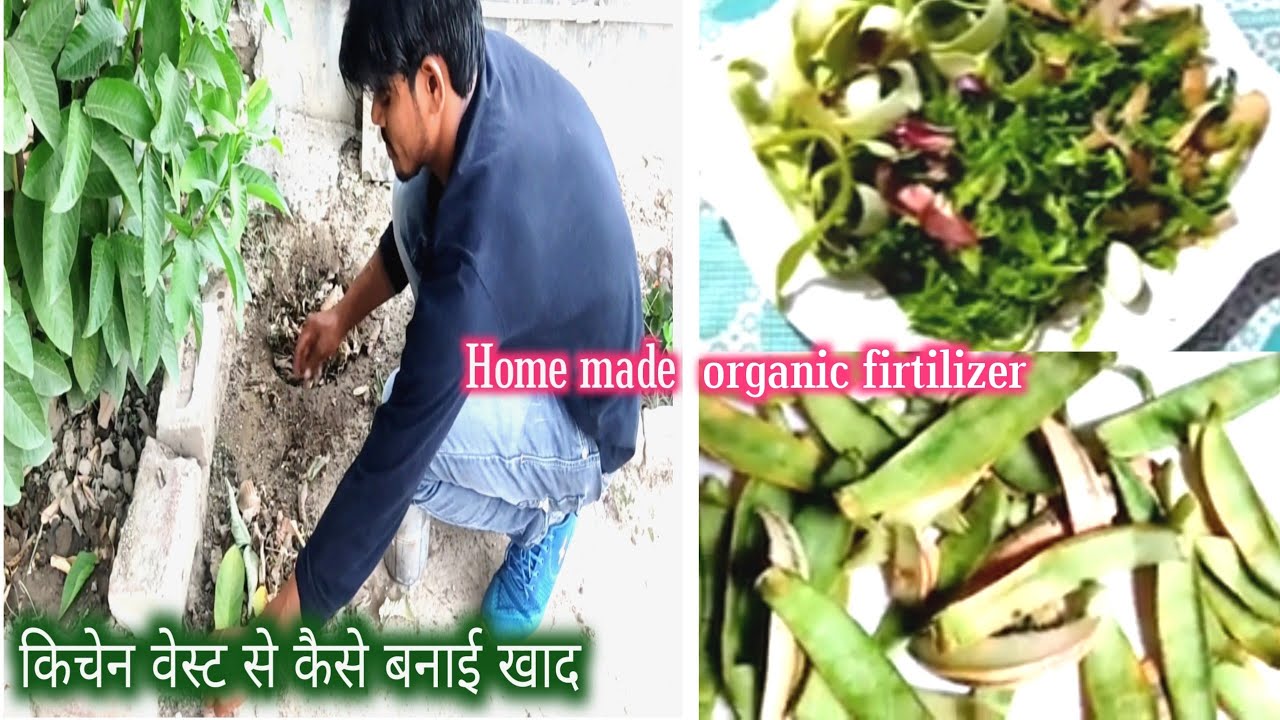 0 cost me banay plants ke liye organic khad | Home made firtilizer ...