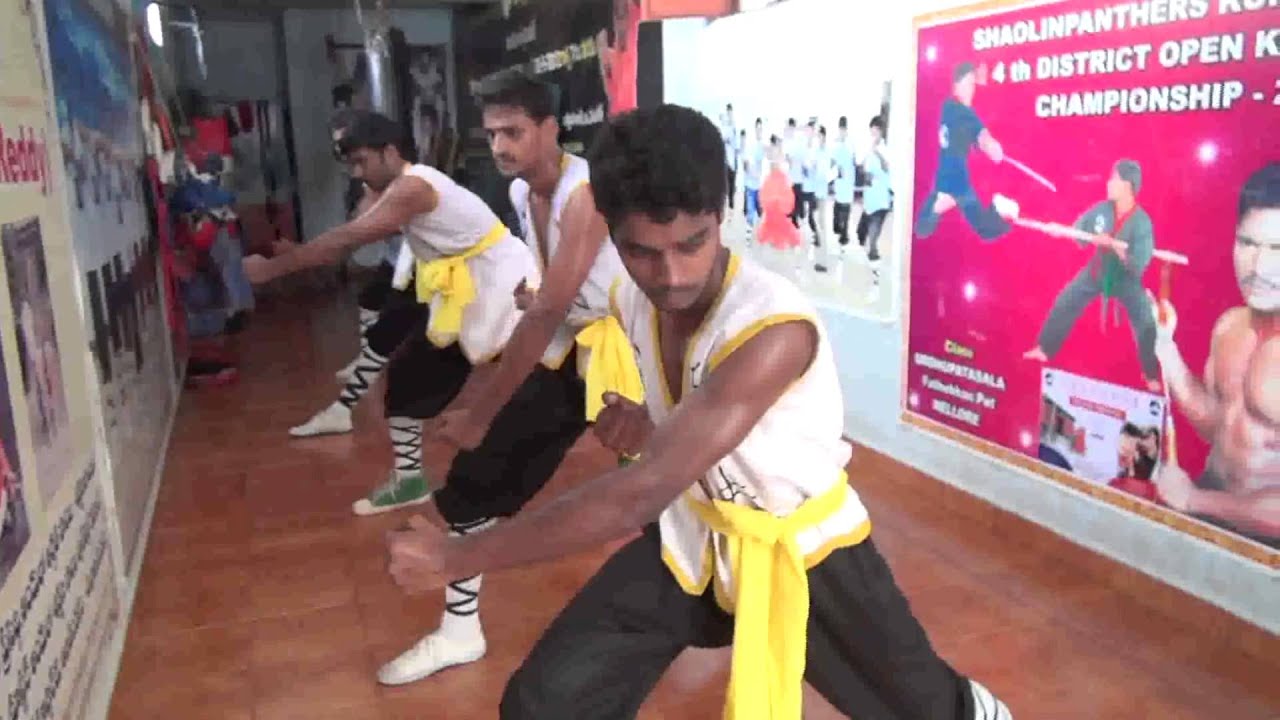 Kung-fu -7 Shaolin Kung-fu Basics Movements Stance Punches & Defense ...