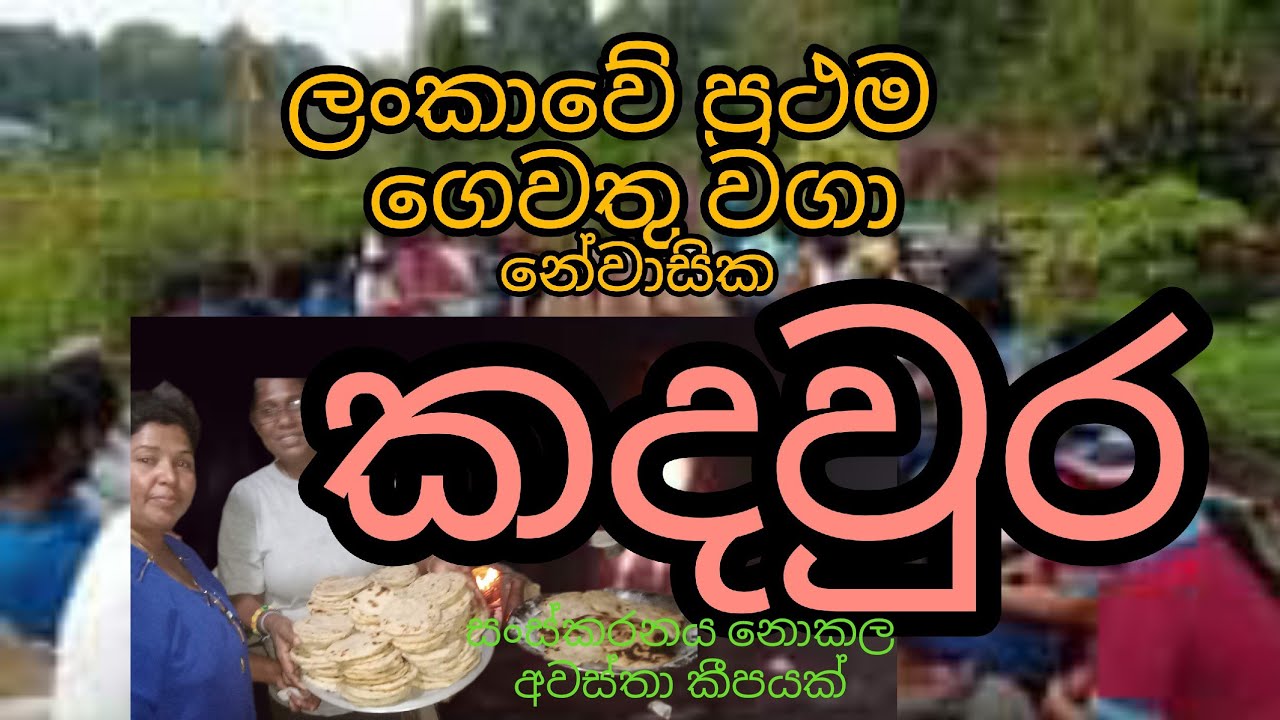 ලංකාවේ මුල්ම ගොවි කදවුර lankawe mulma govi kandaura සිංහරාජගොවිබිම ...