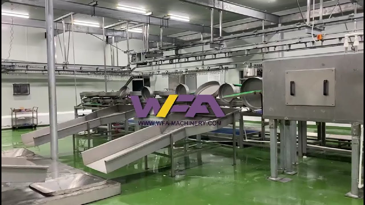 WFA Goat Butcher Abattoir Machines White Offal Slidding Trough For ...