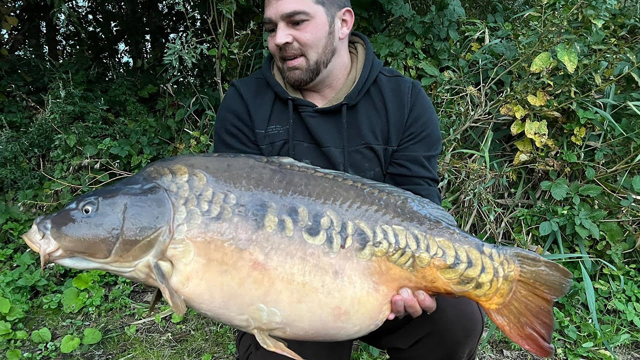 The Carpy Cast - 13-10-2022 - 71lb common carp from Etang des Gaulois ...