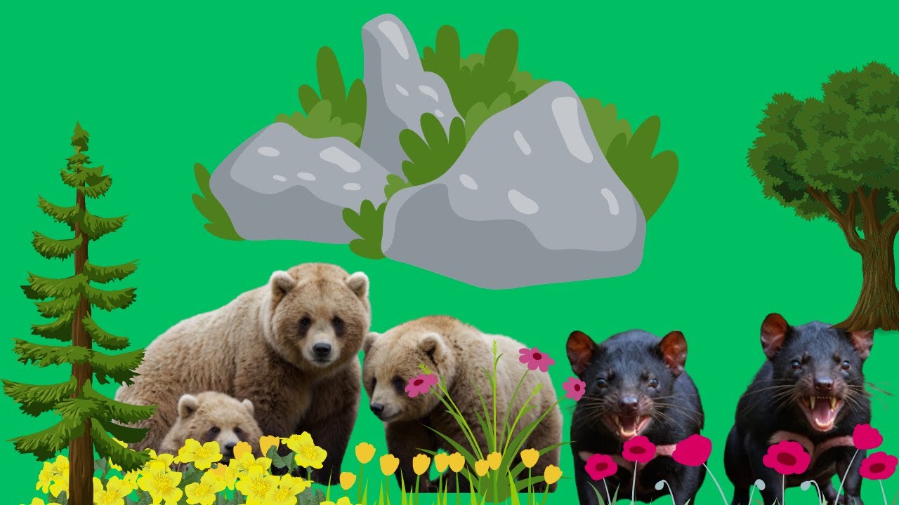 Fun Animal Song for Kids bacho k le entertainment animals song1 song ...