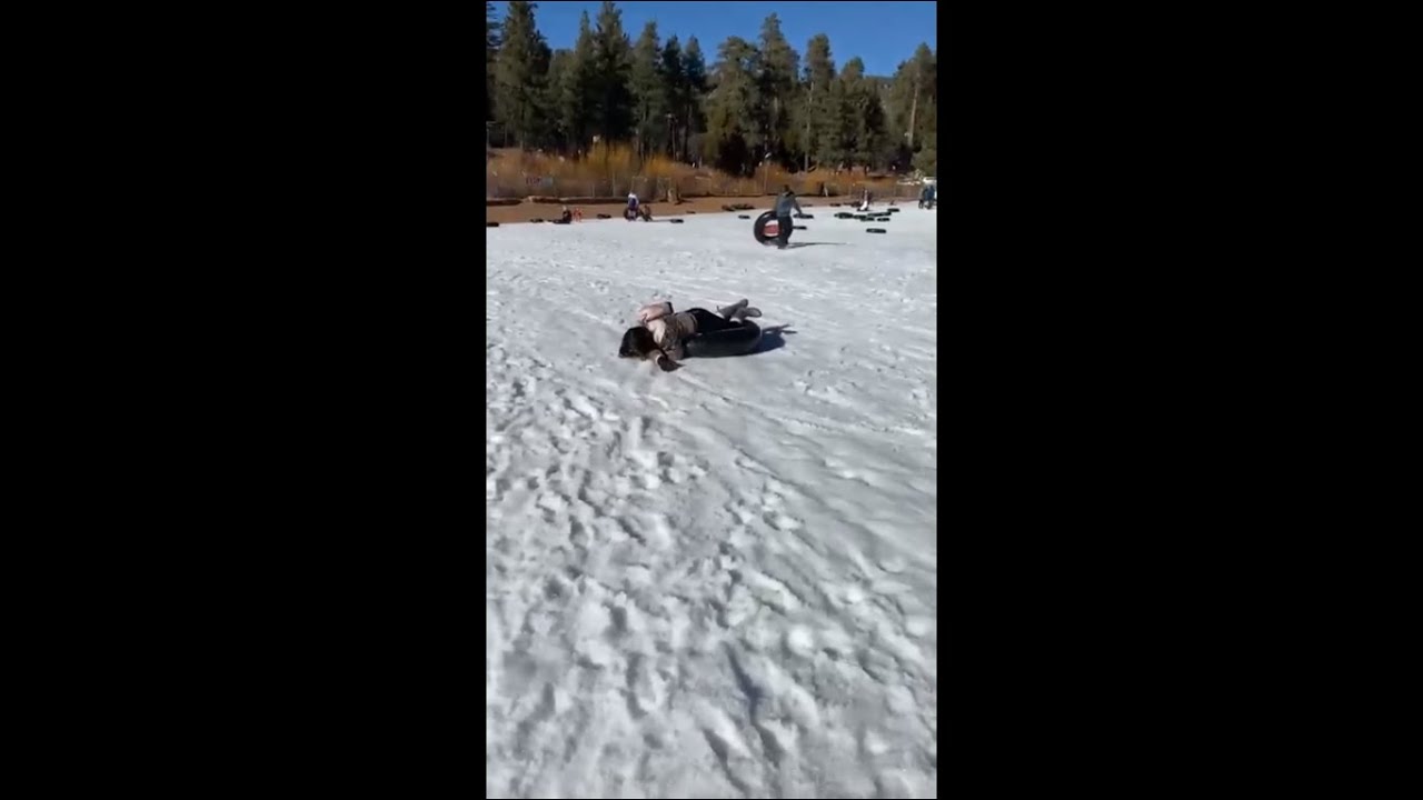 Snow Sledding Is Always Best When Going Down Face First - YouTube