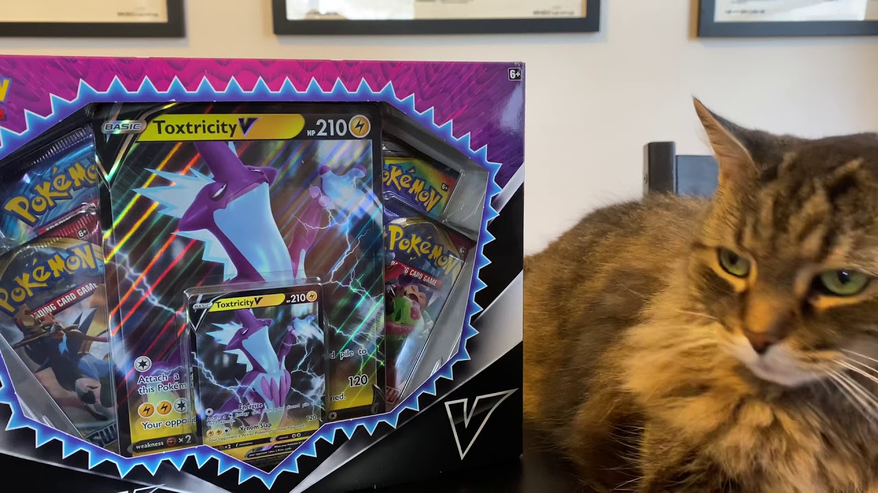 Opening up an ALOLAN SANDSLASH GX and TOXTRICITY V BOXES! - YouTube