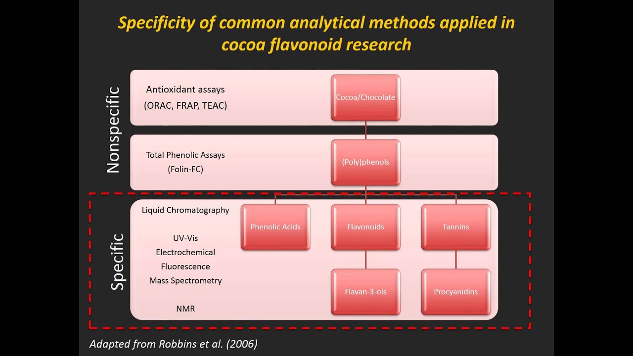 ILSI NA: ICPH 2013 - Speaker: Mario Ferruzzi - YouTube