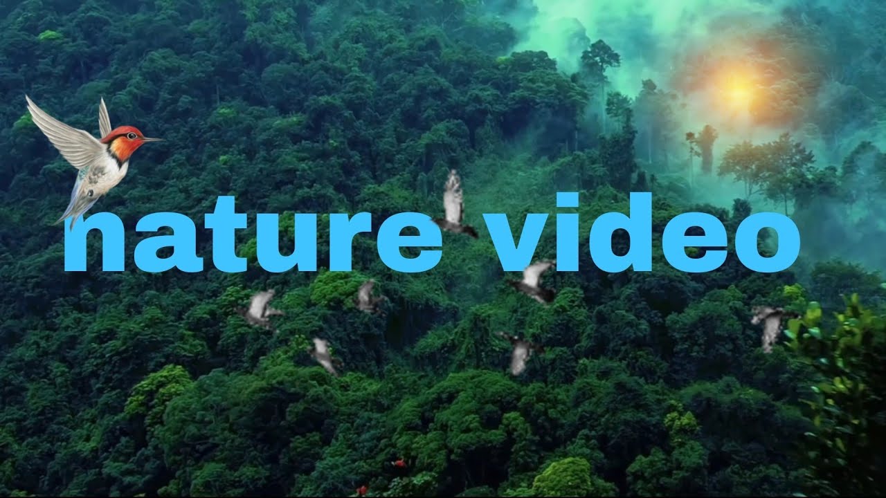 nature 🌿||nature video|| trending || viral video - YouTube