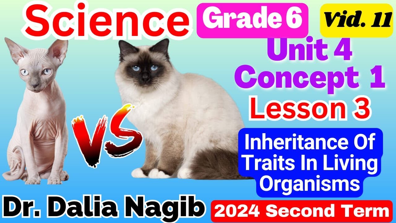 Science Grade 6 -2024- Unit 4 Concept 1 Lesson 3 Inheritance Of Traits ...