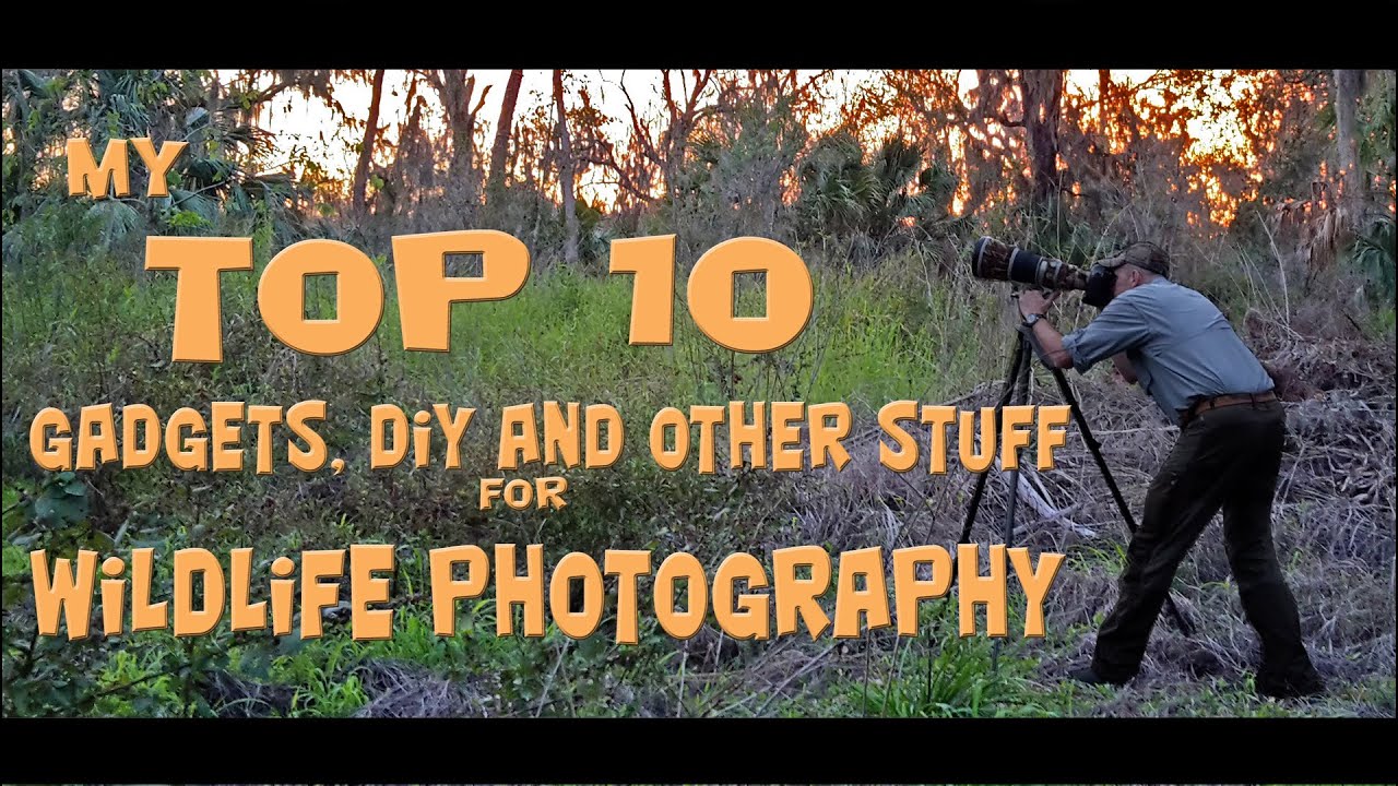 My TOP 10 gadgets, DIY and other stuff for wildlife photography - YouTube