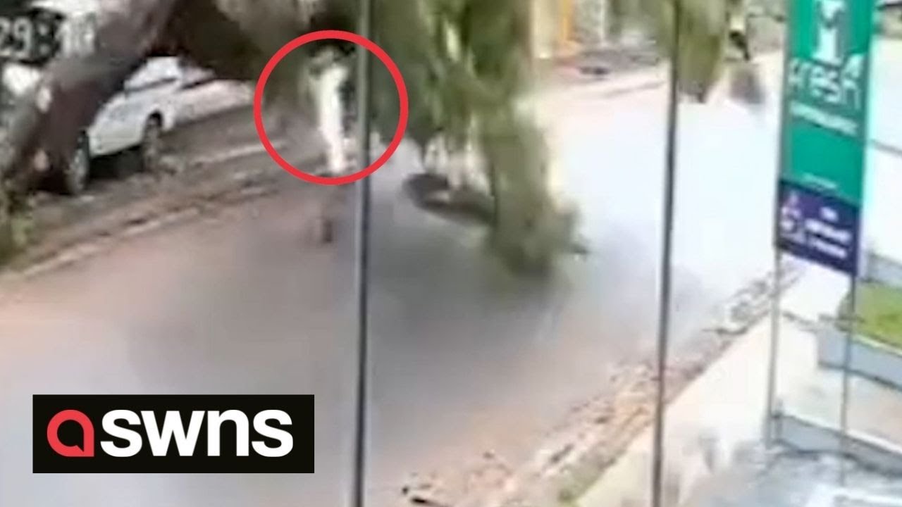 Man narrowly escapes injury after GIANT tree falls on top of him | SWNS ...