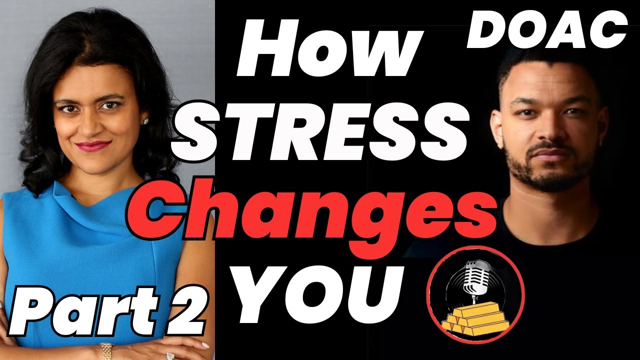 DOAC Podcast Summary - Stress, Bonding, and Neuroplasticity Explained ...