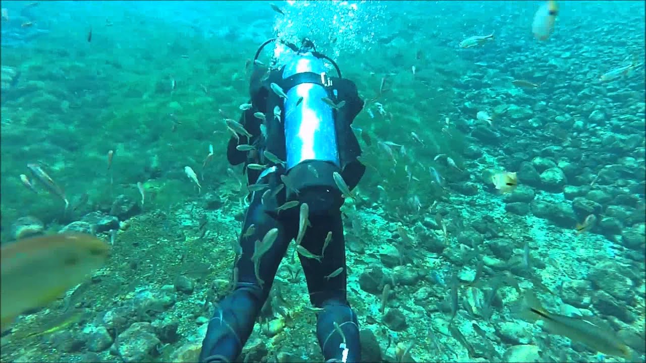 SCUBA BALMORHEA TX - YouTube