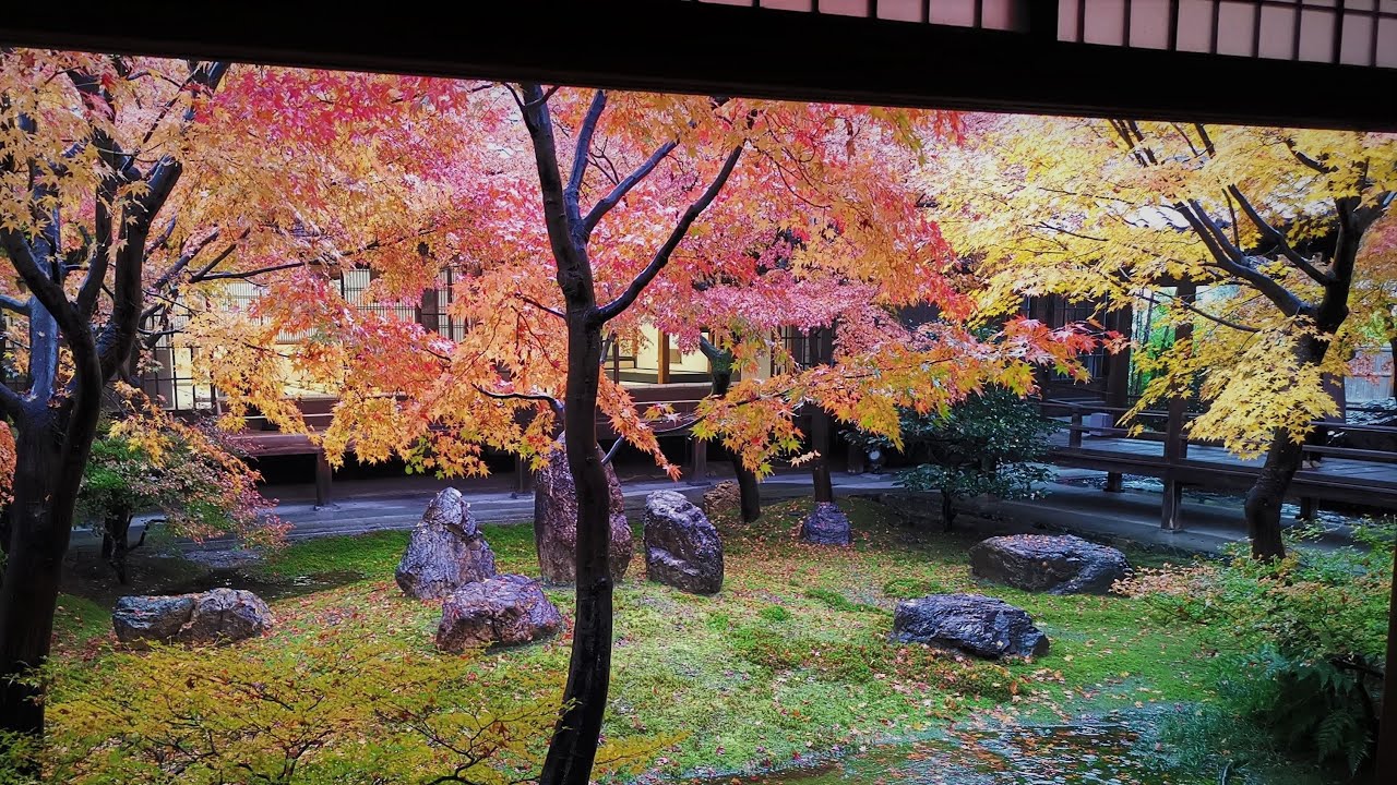 【4K KYOTO】Walking in the Rain in Japan/Fantastic Zen garden in Kyoto ...